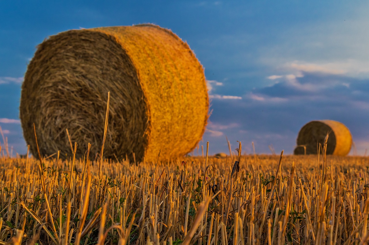 How To Develop Farm Mission Vision Statements Farm And Dairy How To Develop Farm Mission Vision Statements Farm And Dairy