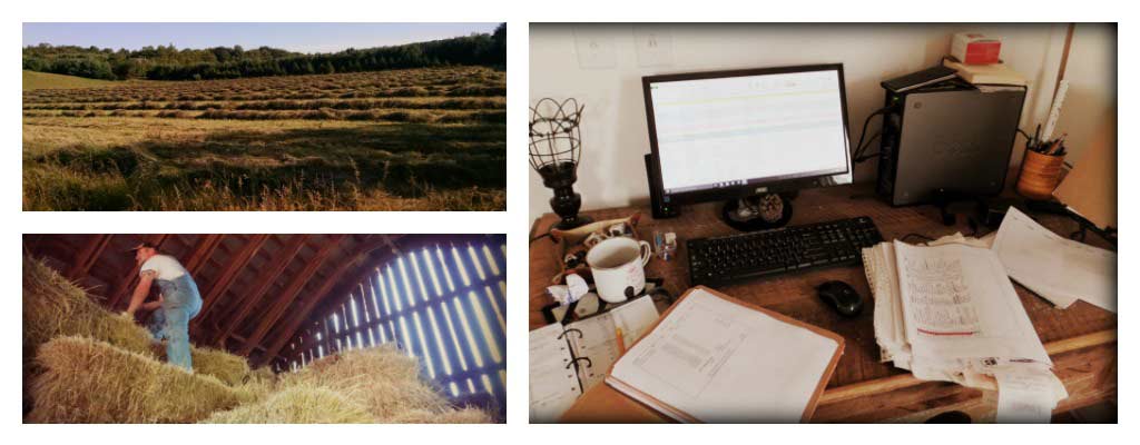 How To Write A Farm Business Plan Farm And Dairy