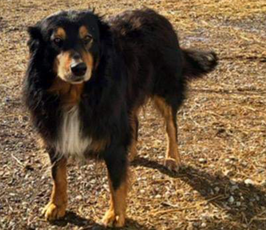 Judith Sutherland Archives - Farm and Dairy