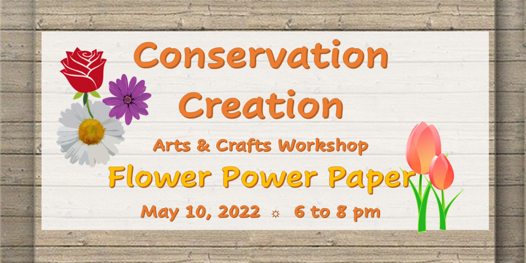 Flower Power Paper Conservation Creation Workshop Events - Farm and Dairy