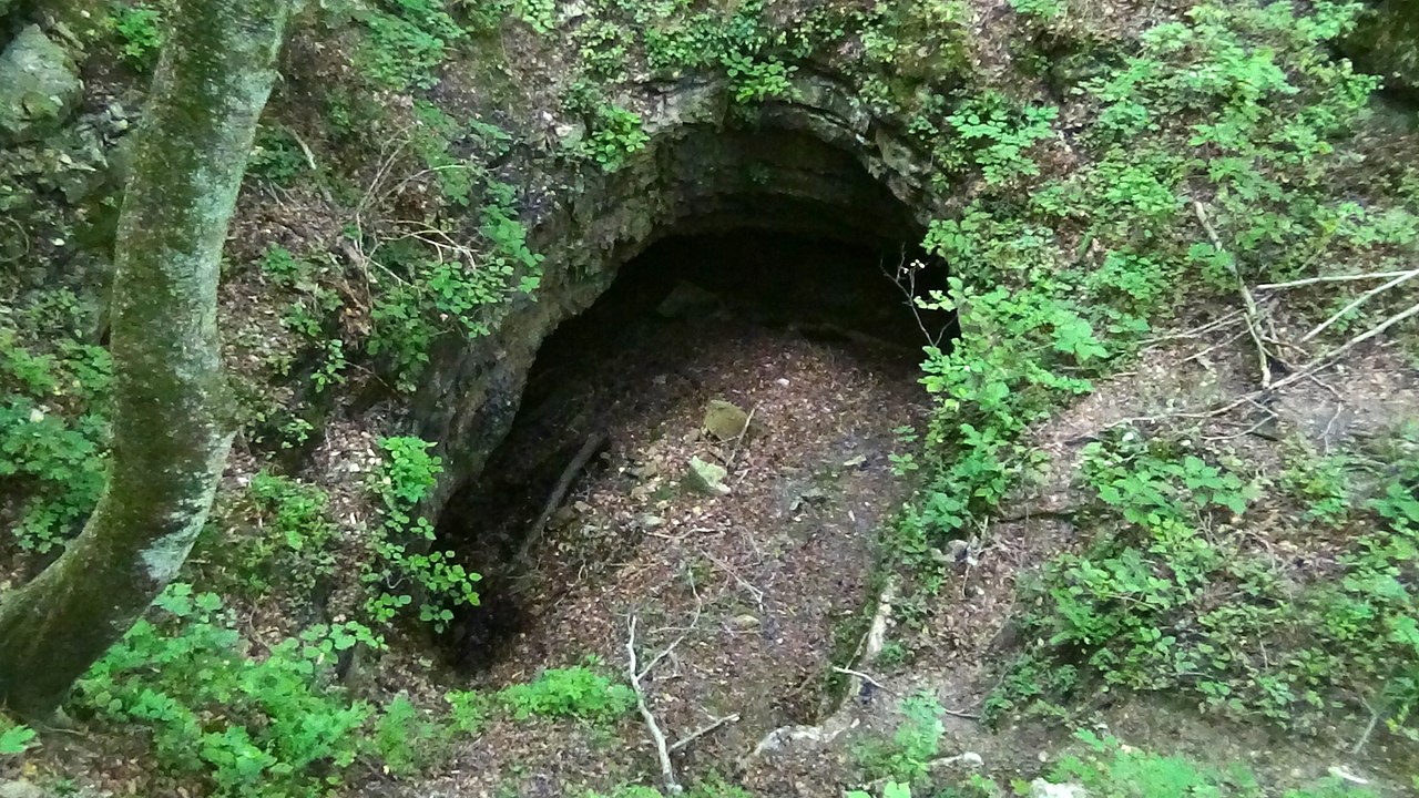 Finding what lies beneath at Mammoth Cave National Park - Farm and Dairy