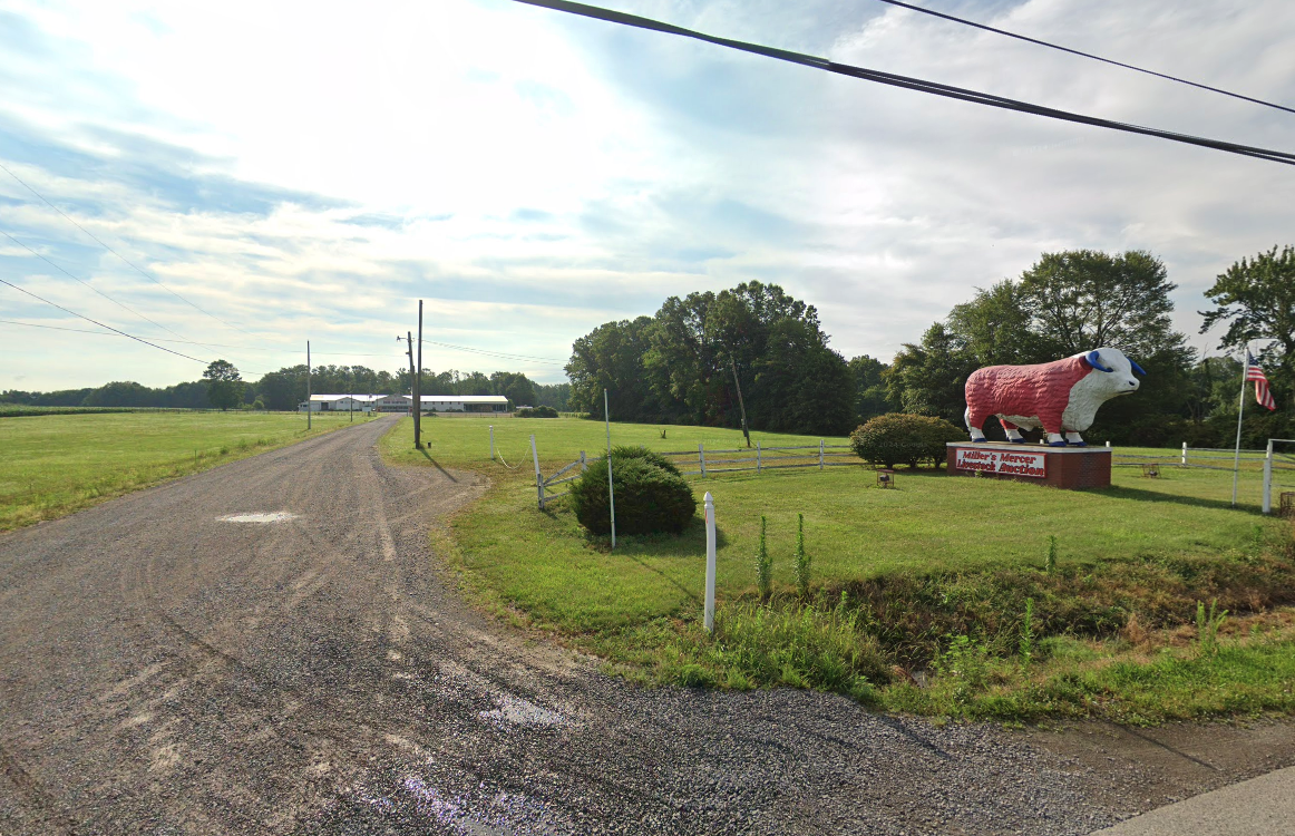 Owner of Pa. livestock auction faces charges - Farm and Dairy
