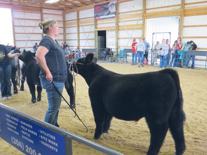 Ohio’s oldest independent fair brings longtime locals and new visitors ...