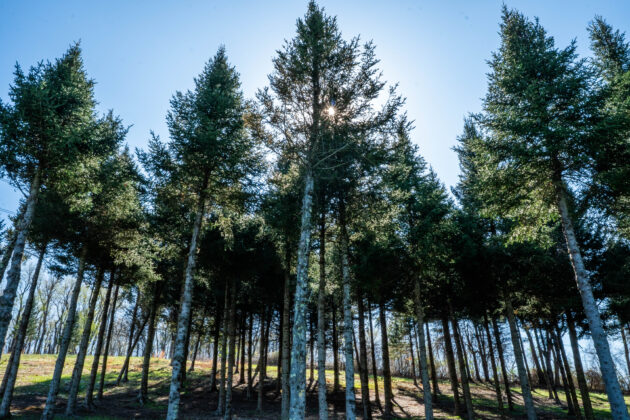 Farmers, local officials fight against MARL transmission line in Pa., W ...